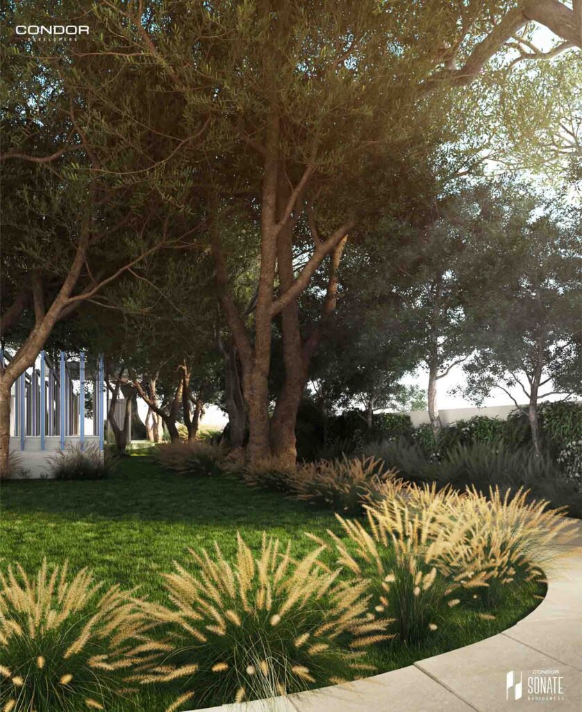 Condor Sonate - condordevelopers